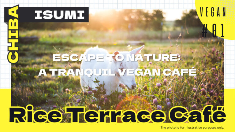 Escape to Nature: A Tranquil Vegan Café in Isumi, Chiba – Rice Terrace ...